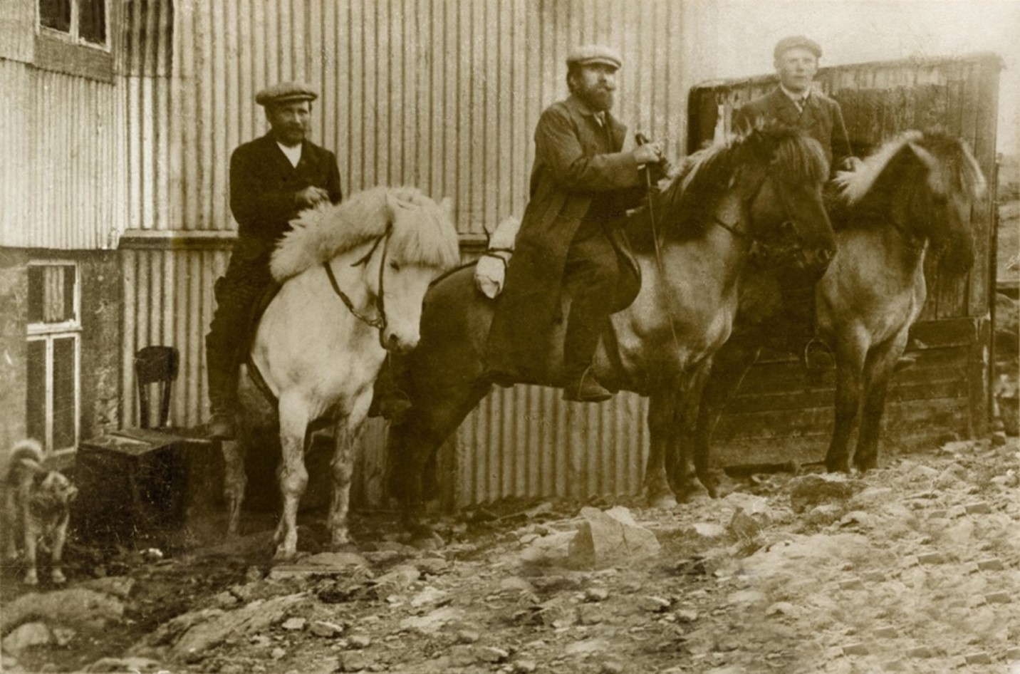 Erfið réttaferð og traustur hestur – „Inn í glæstar gleðiálfur“